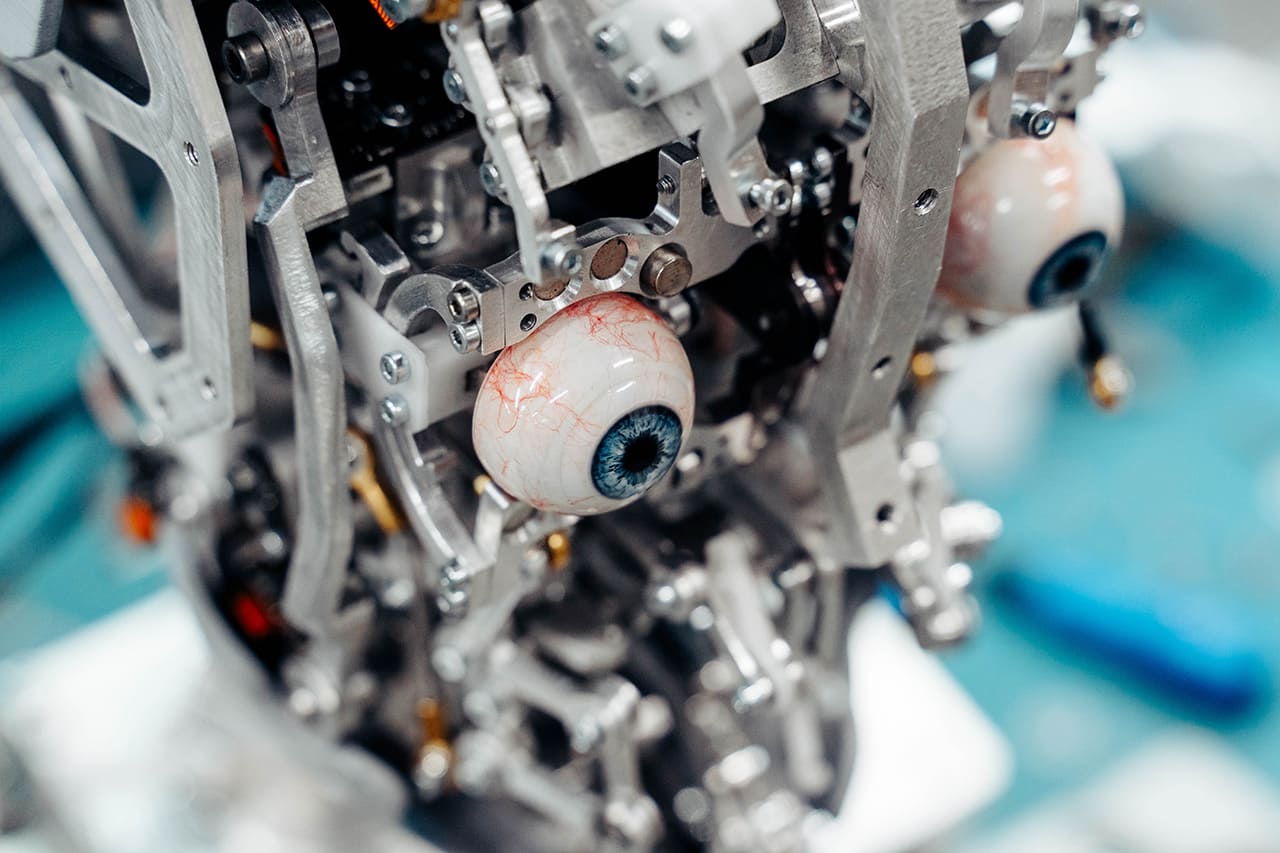 How to Clone a Human? | PROMOBOT